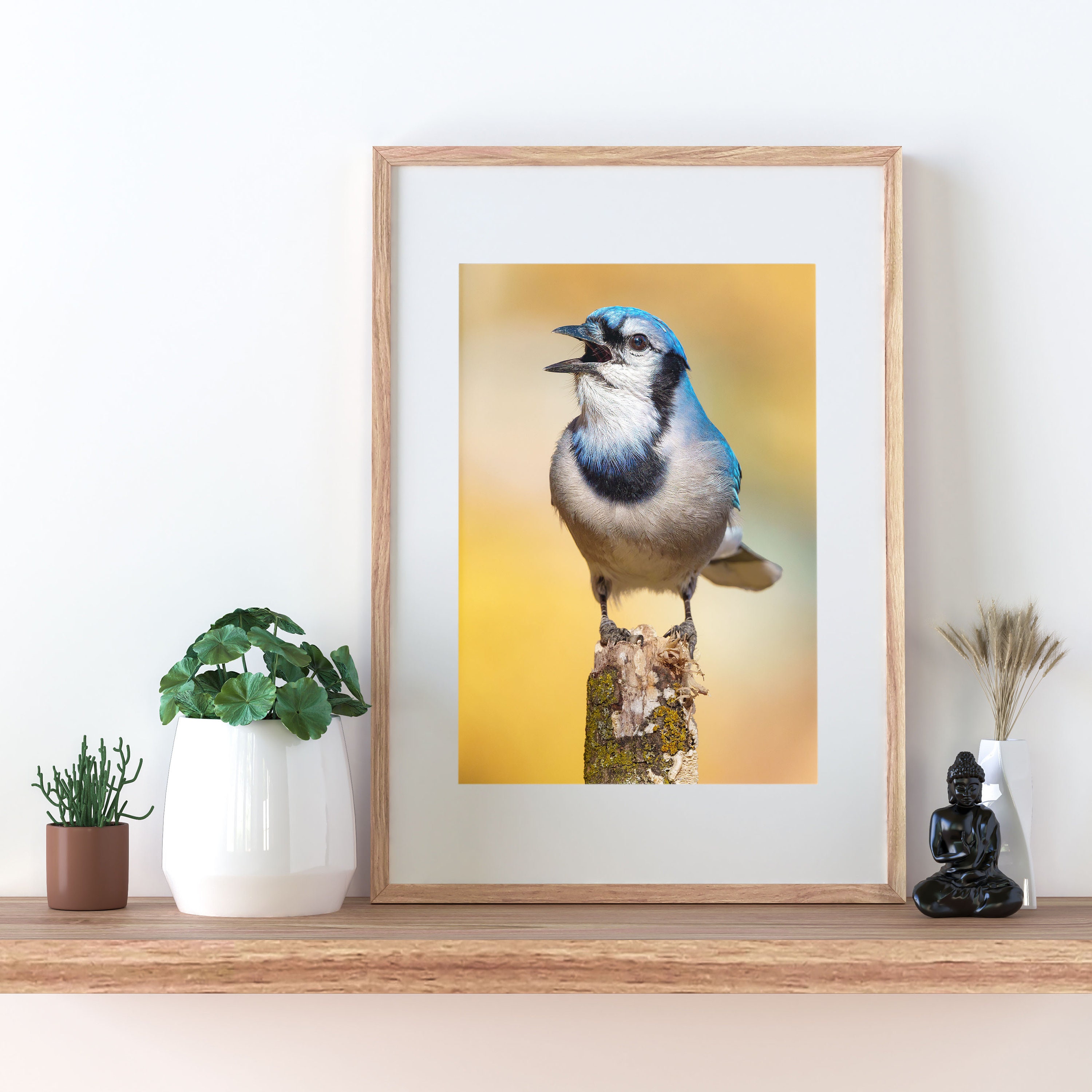 Blue Jay Photo Print, Ontario Nature Photography, Fall Colors - Etsy