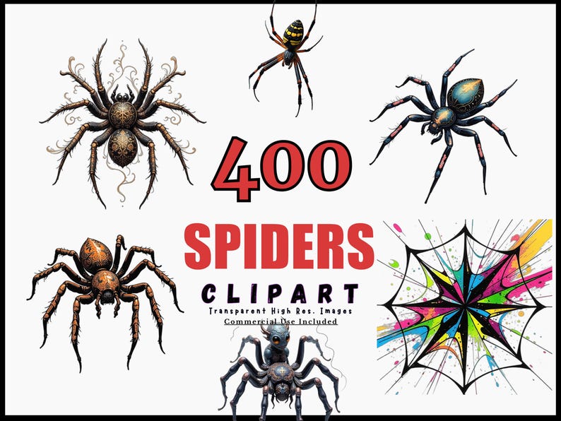 400 Spiders Clipart Bundle, Transparent Pngs for Halloween, Creepy ...