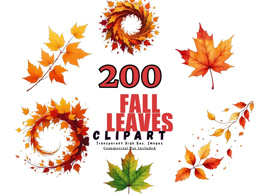 200 FALL LEAVES Clipart Bundle - Watercolor Autumn Leaves Pngs, Digital ...