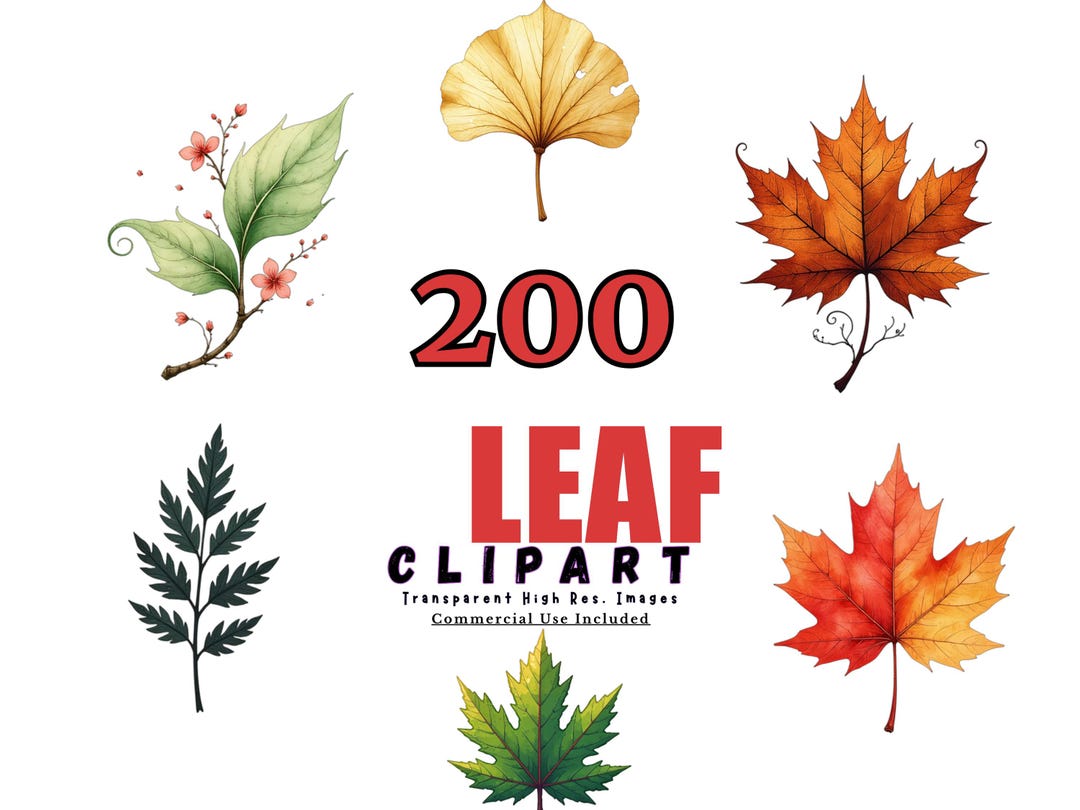 200 LEAF Clipart Bundle - Watercolor Leaves, Botanical PNG, Nature ...