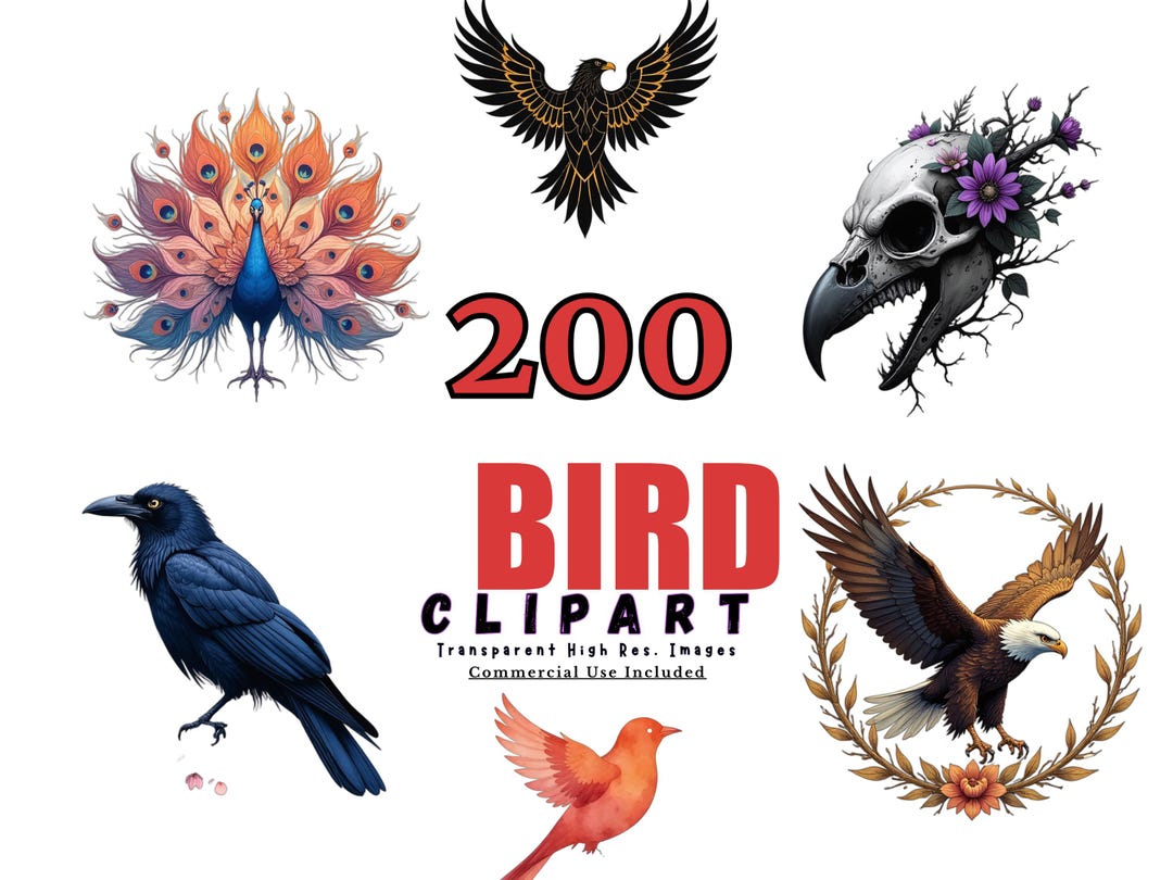 200 BIRD Clipart Bundle, Watercolor Birds, Cute Bird Illustrations ...