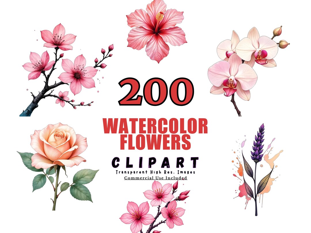 200 WATERCOLOR FLOWERS Clipart Bundle - Floral Illustrations, Digital ...