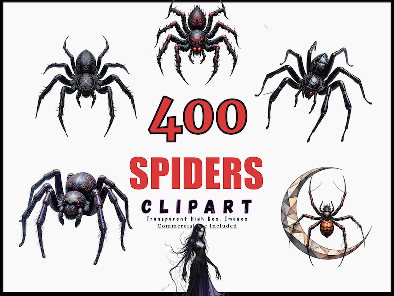 400 Spiders Clipart Bundle, Transparent Pngs for Halloween, Creepy ...