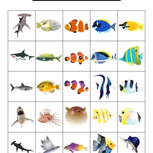 Editable Token Boards - ANIMALS - Ocean Animals | Special Education - Etsy