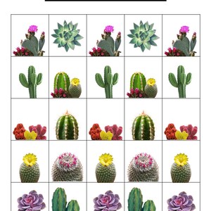 Editable Token Boards - PLANTS - Cacti & Succulents | Special Education ...