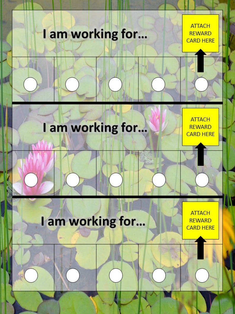 Editable Token Boards - ANIMALS - Frog Pond | Special Education - Etsy