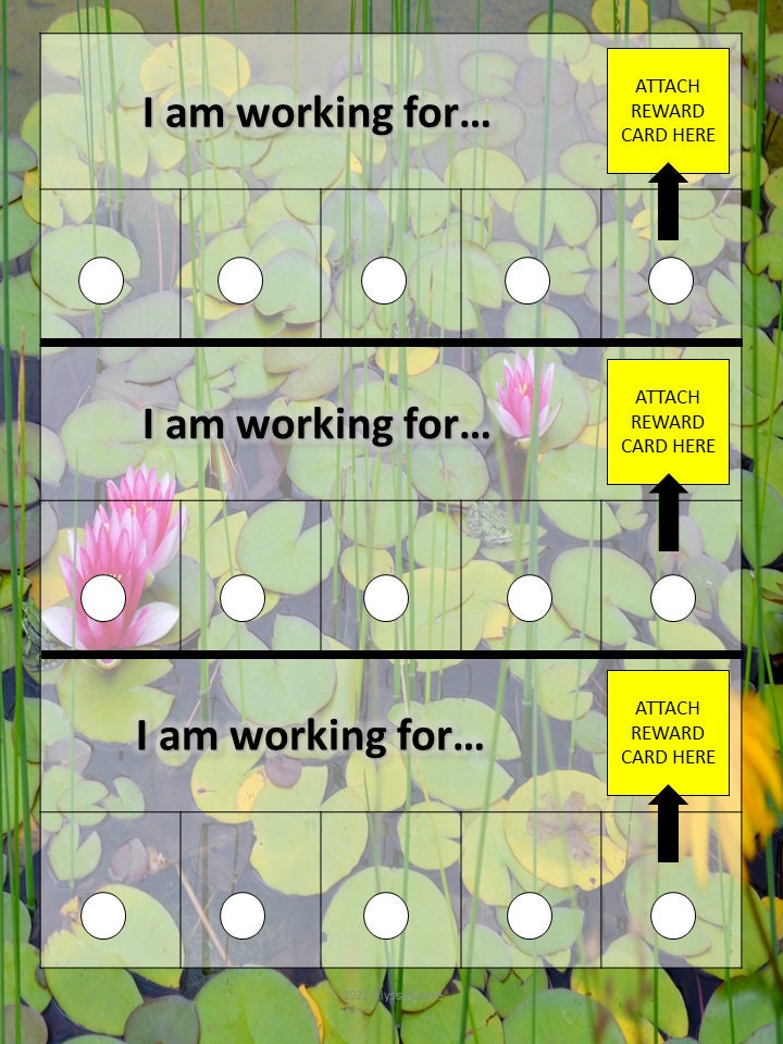 Editable Token Boards - ANIMALS - Frog Pond | Special Education - Etsy