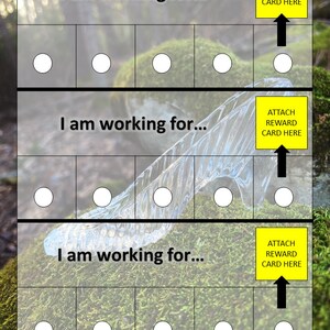 Editable Token Boards - FAIRYTALES - Cinderella | Special Education - Etsy