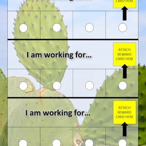 Editable Token Boards - PLANTS - Cacti & Succulents | Special Education ...