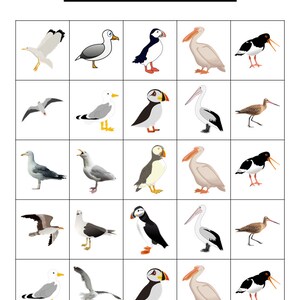 Editable Token Boards - ANIMALS - Ocean Animals | Special Education - Etsy