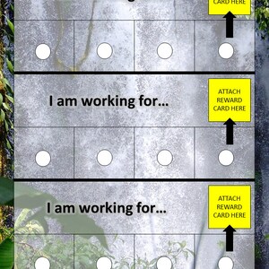 Editable Token Boards - PLANTS - Tropical Theme | Special Education - Etsy