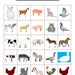 Editable Token Boards ANIMALS Farm Animals Special Education - Etsy