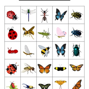 Editable Token Boards - Bugs | Special Education - Etsy