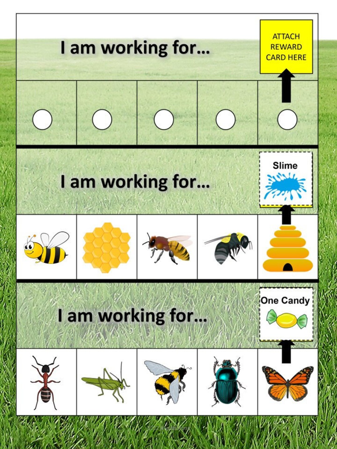 Editable Token Boards - Bugs | Special Education - Etsy
