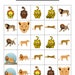 Editable Token Boards - ANIMALS - Savannah Animals | Special Education ...