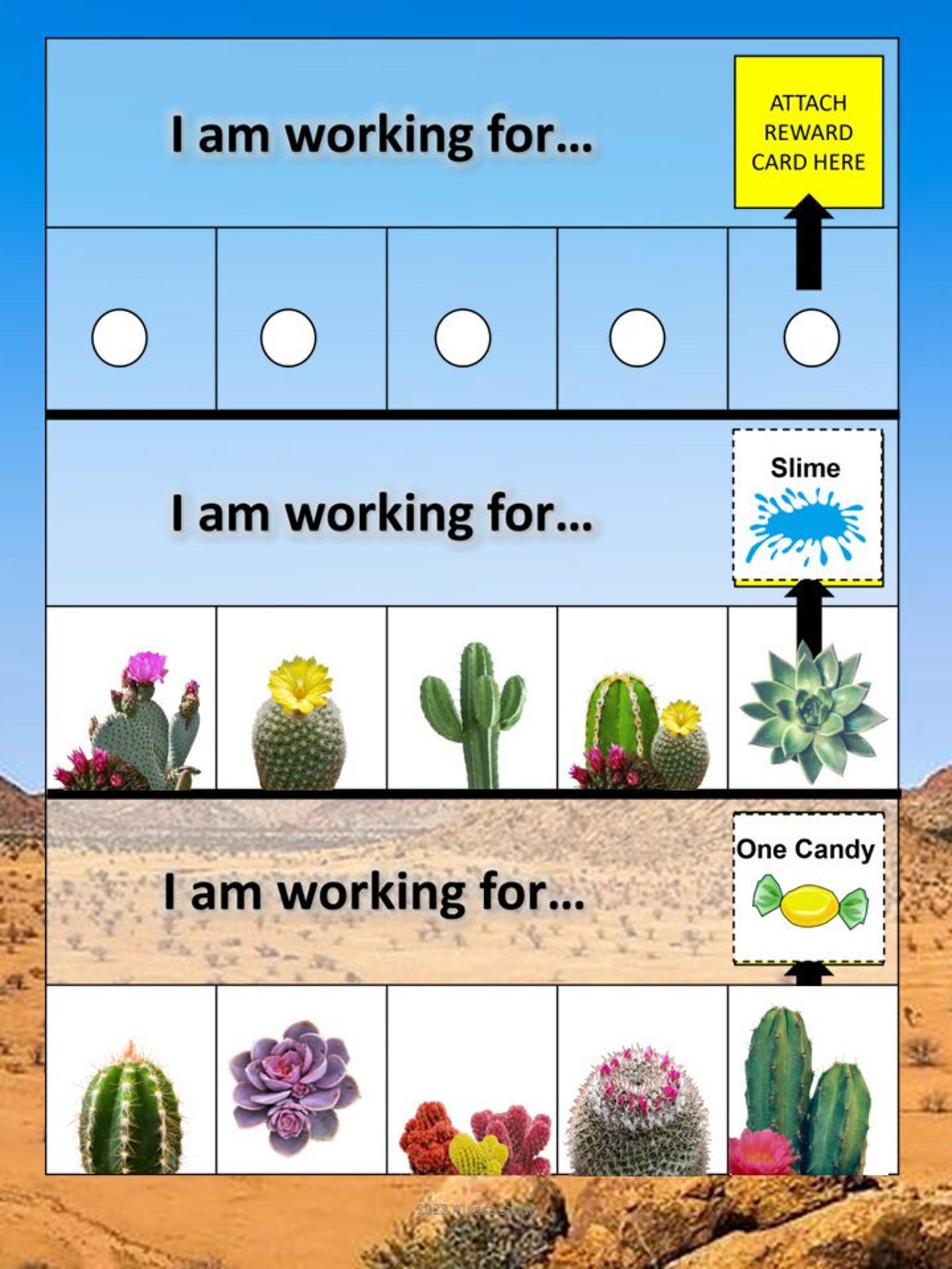Editable Token Boards - PLANTS - Cacti & Succulents | Special Education ...