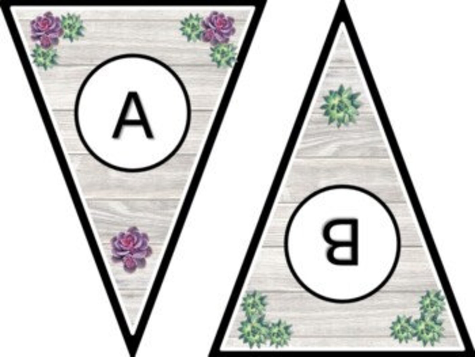 Alphabet Pennants Cacti & Succulents - Etsy