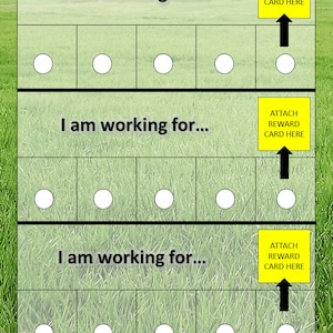 Editable Token Boards - Bugs | Special Education - Etsy