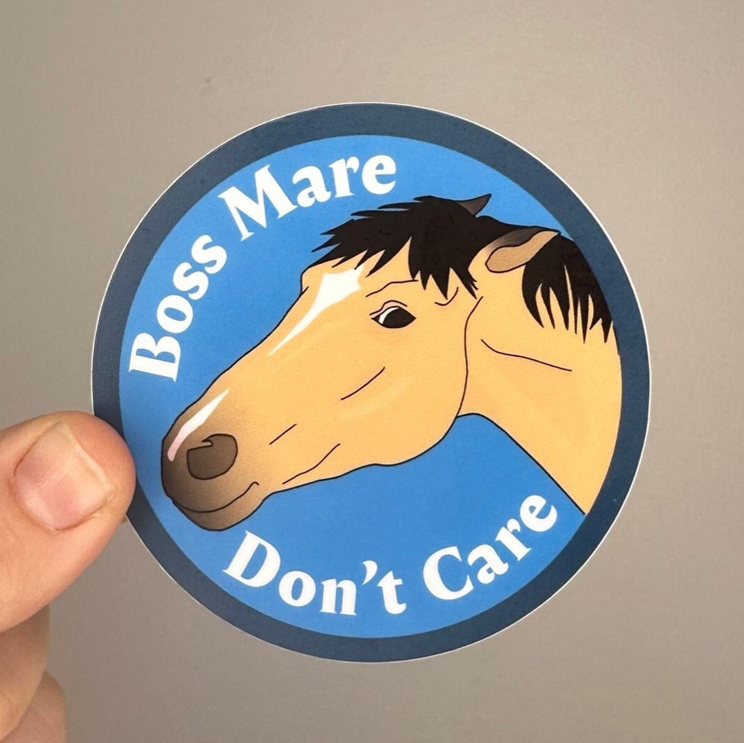 Boss Mare Don't Care Sticker - Etsy