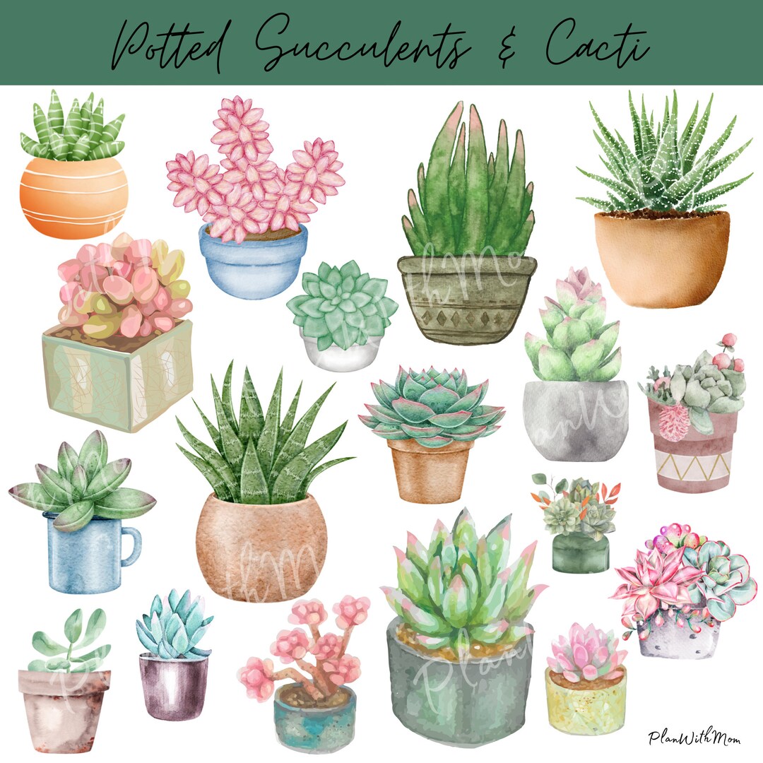 Potted Succulents & Cacti Digital Stickers: Goodnotes PNG Stickers - Etsy