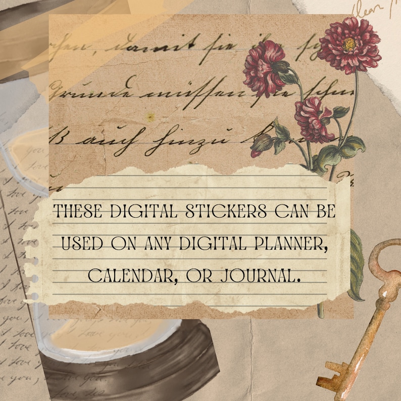 Vintage Digital Stickers | PNG Stickers | Pre-cropped Goodnotes ...