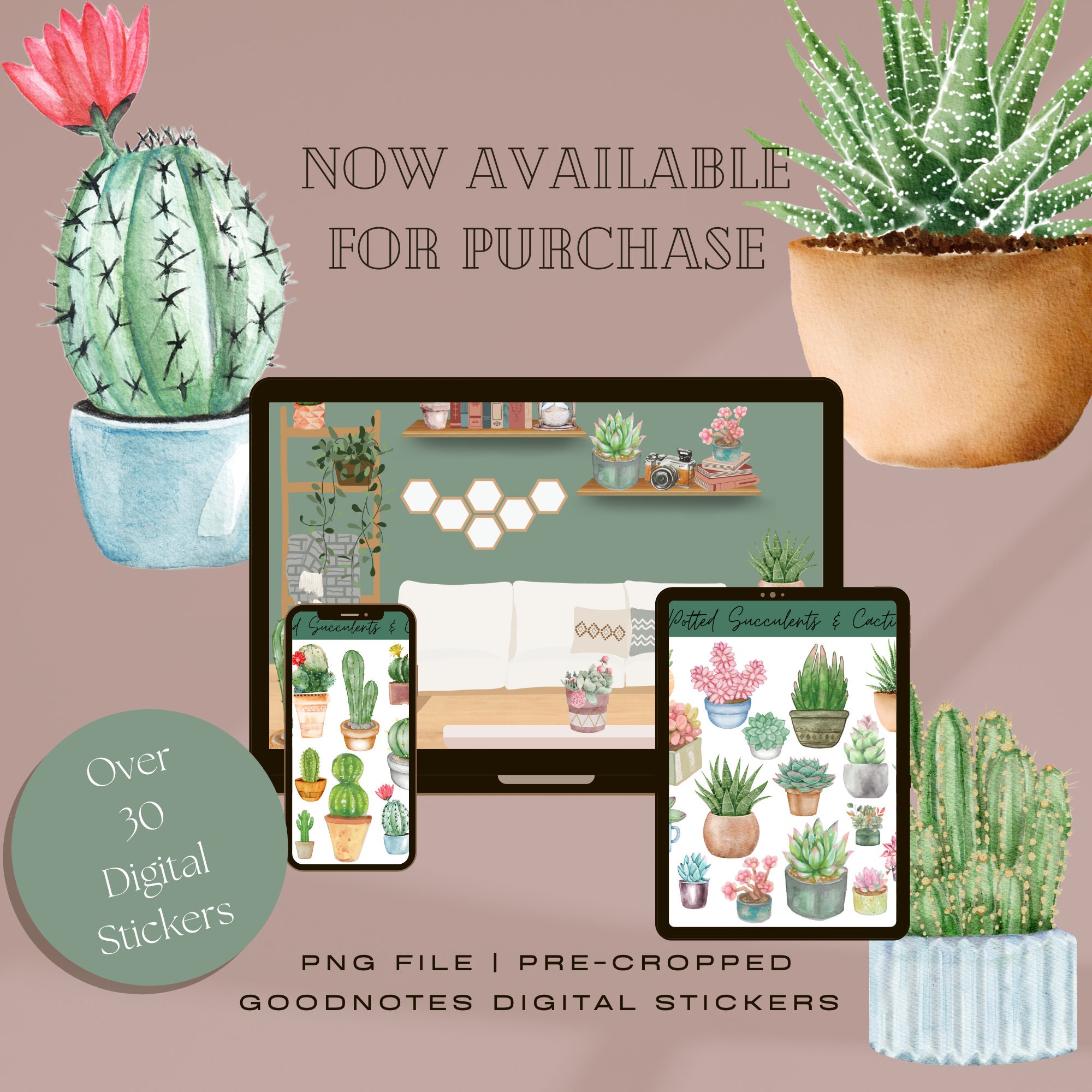Potted Succulents & Cacti Digital Stickers: Goodnotes PNG Stickers - Etsy