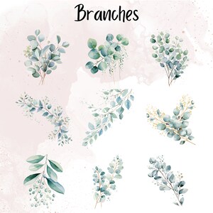 Eucalyptus Watercolor Clipart: Greenery PNG, SVG Bundle (commercial Use ...
