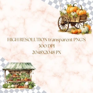 Watercolor Autumn Clipart PNG Fall Illustrations Autumn Harvest Season ...