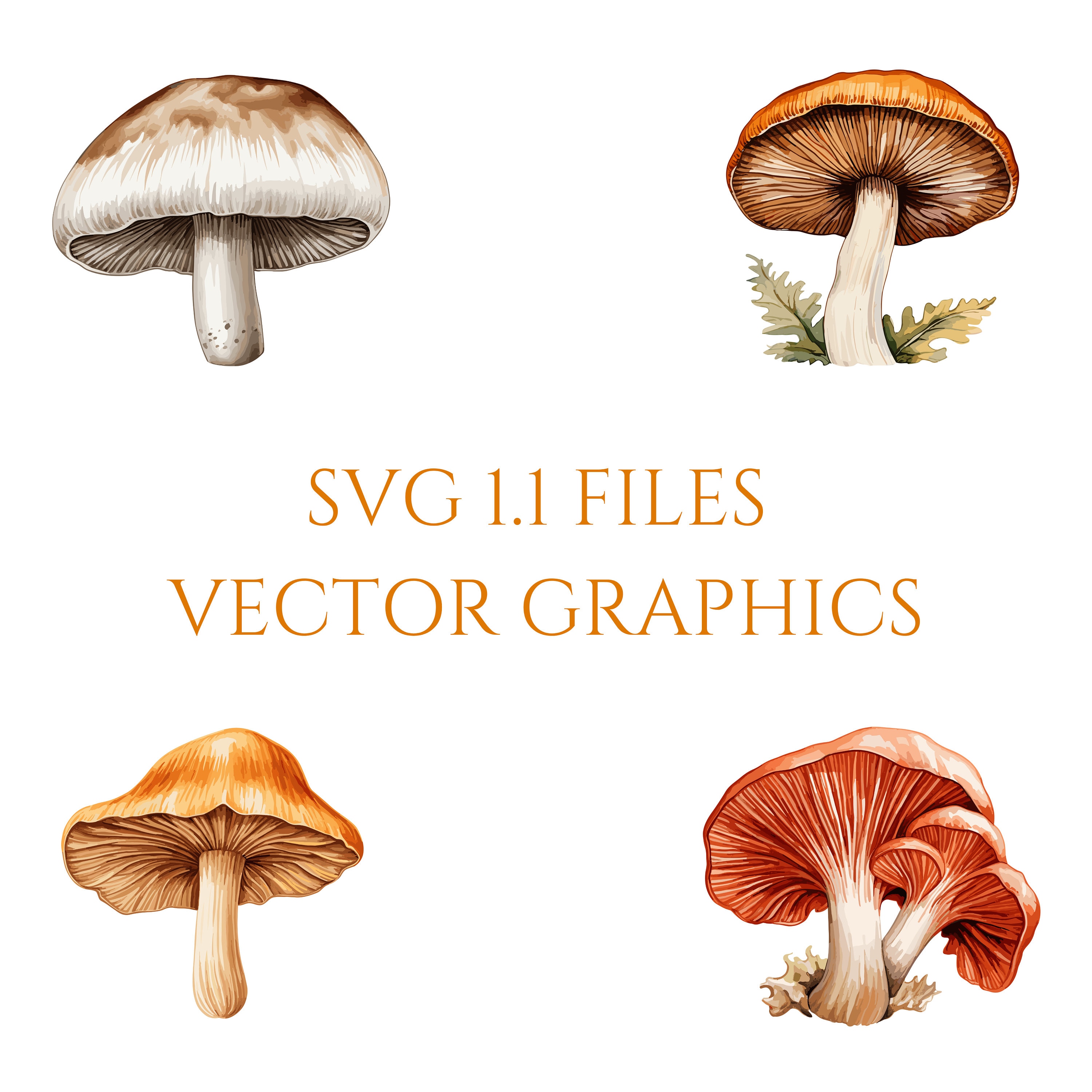 Watercolor Mushrooms Clipart Fall Leaves PNG Autumn Elements - Etsy