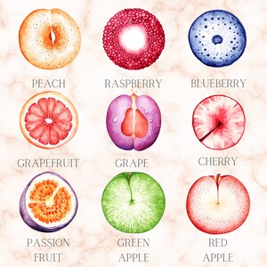 Watercolor Fruit Slices Clipart: PNG SVG Bundle - Etsy