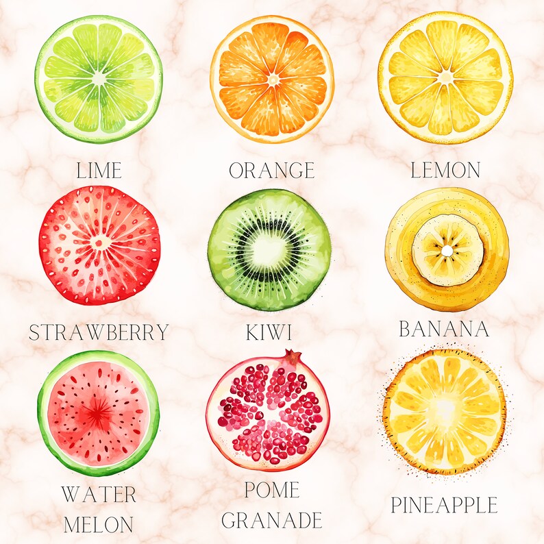 Watercolor Fruit Slices Clipart: PNG SVG Bundle - Etsy