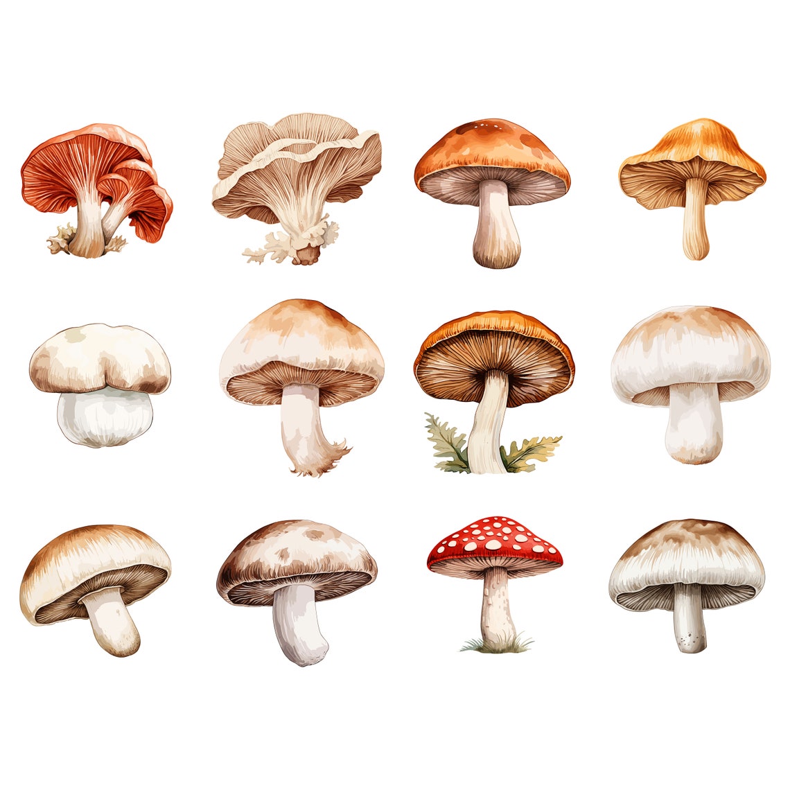 Watercolor Mushroom Clipart: Fall Leaves, Autumn Forest (PNG, SVG) - Etsy