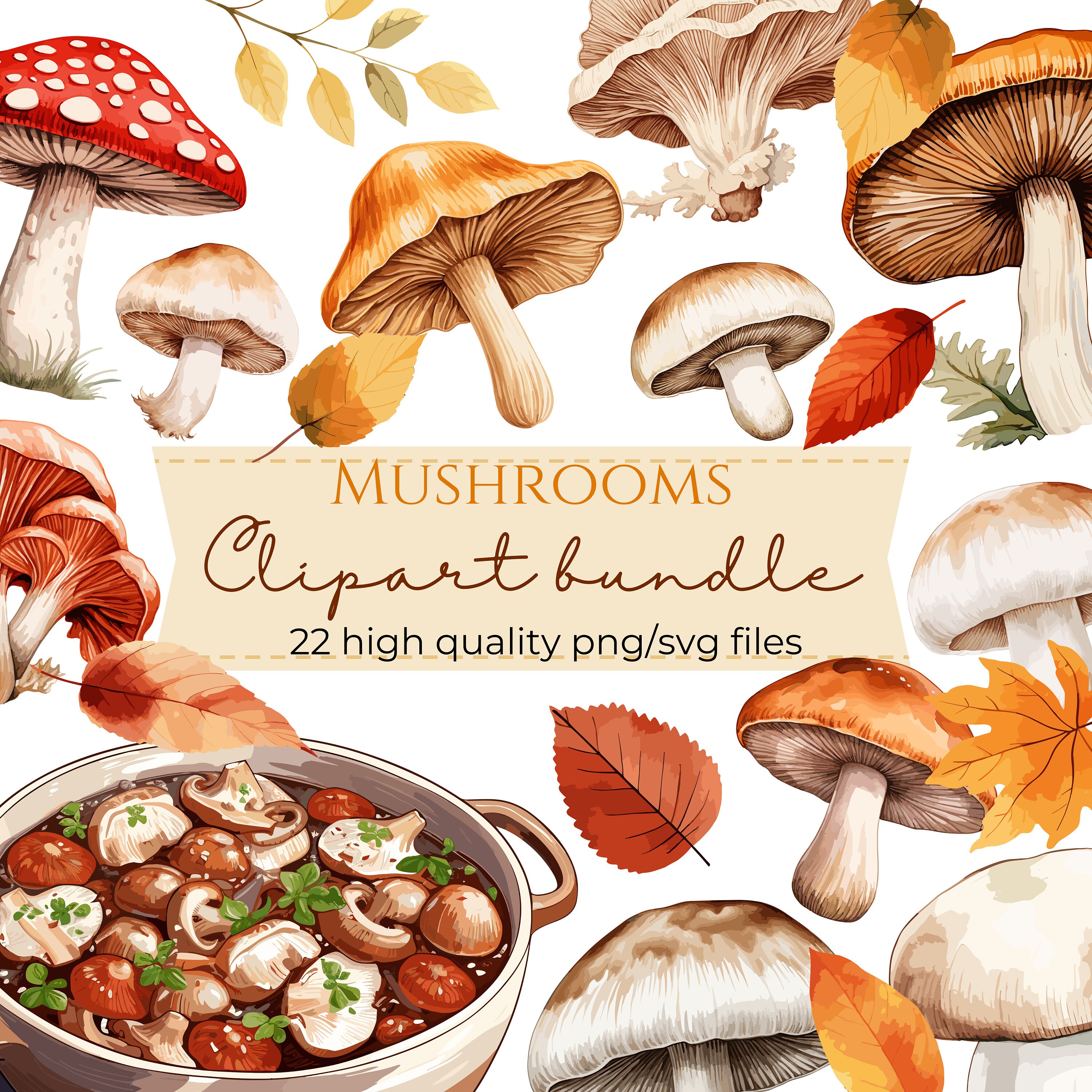 Watercolor Mushrooms Clipart Fall Leaves PNG Autumn Elements - Etsy