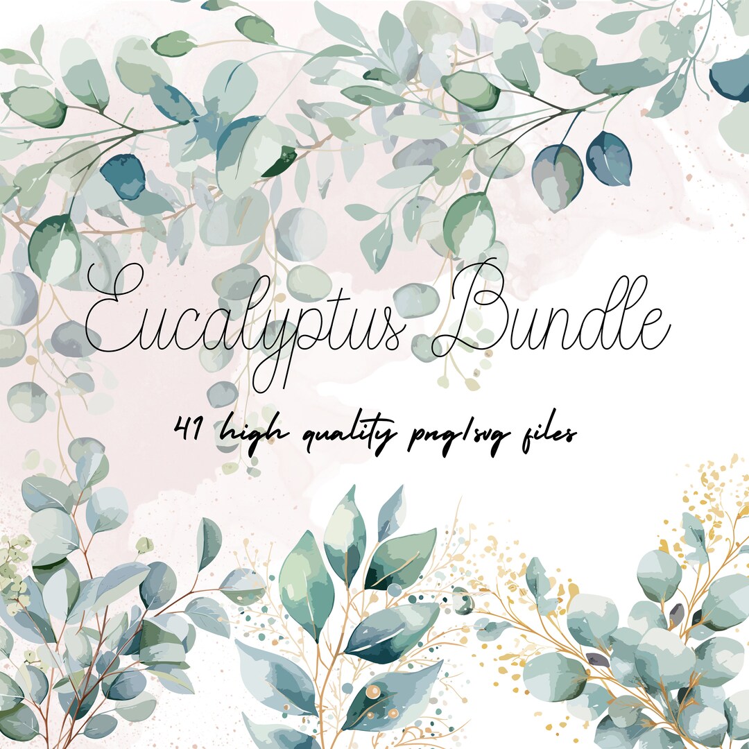 Eucalyptus Watercolor Clipart: Greenery PNG, SVG Bundle (commercial Use ...