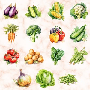 Watercolor Vegetables Clipart Bundle Vegetables SVG Garden Recipe Book ...