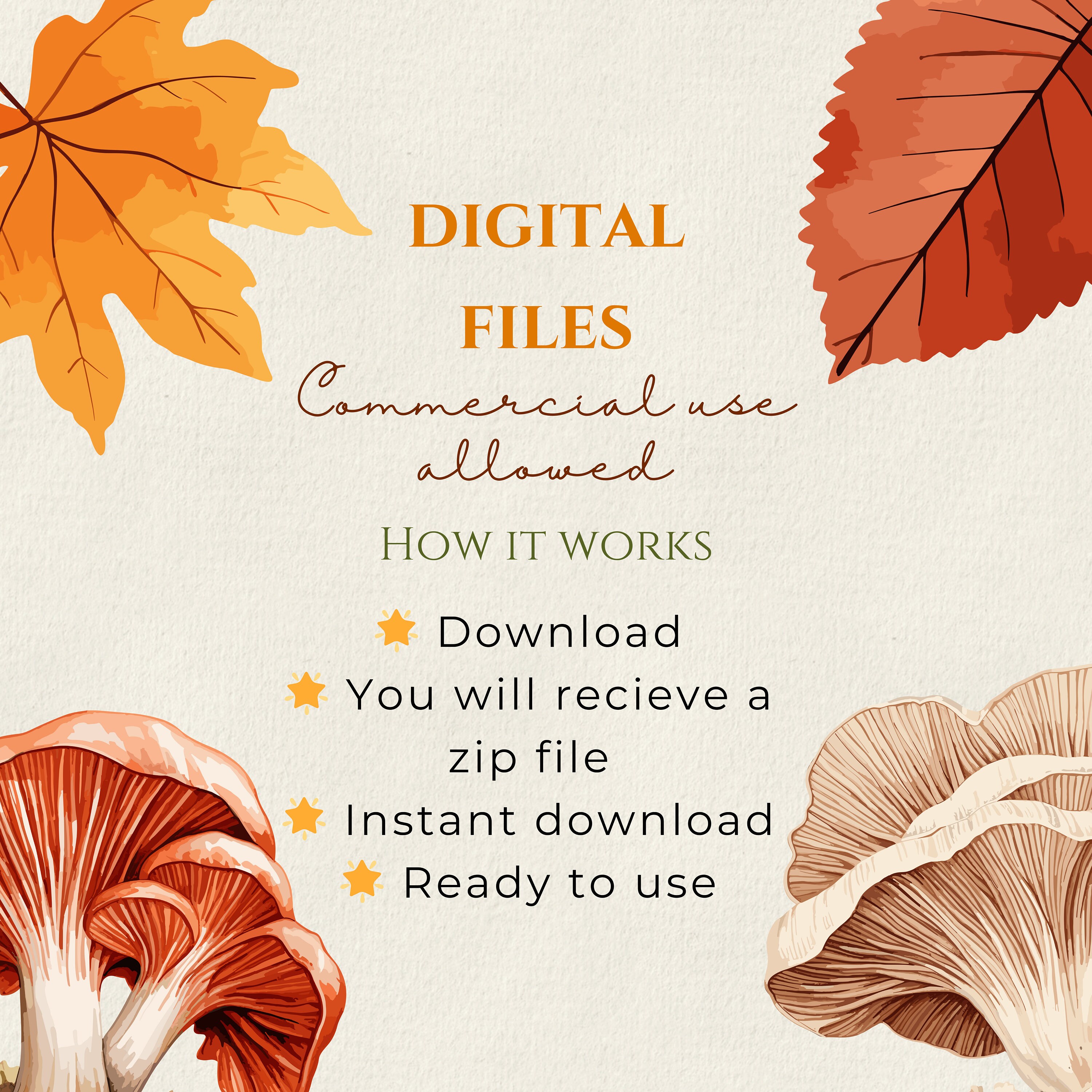 Watercolor Mushrooms Clipart Fall Leaves PNG Autumn Elements - Etsy
