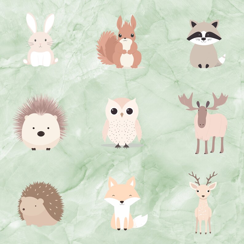 Woodland Creatures Clipart PNG Transparent Animals - Etsy