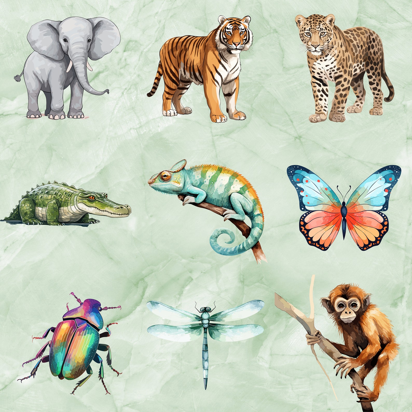 Watercolor Jungle Clipart Jungle Animals PNG Safari SVG - Etsy