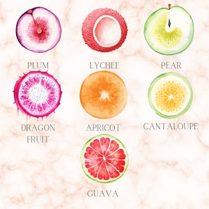 Watercolor Fruit Slices Clipart: PNG SVG Bundle - Etsy