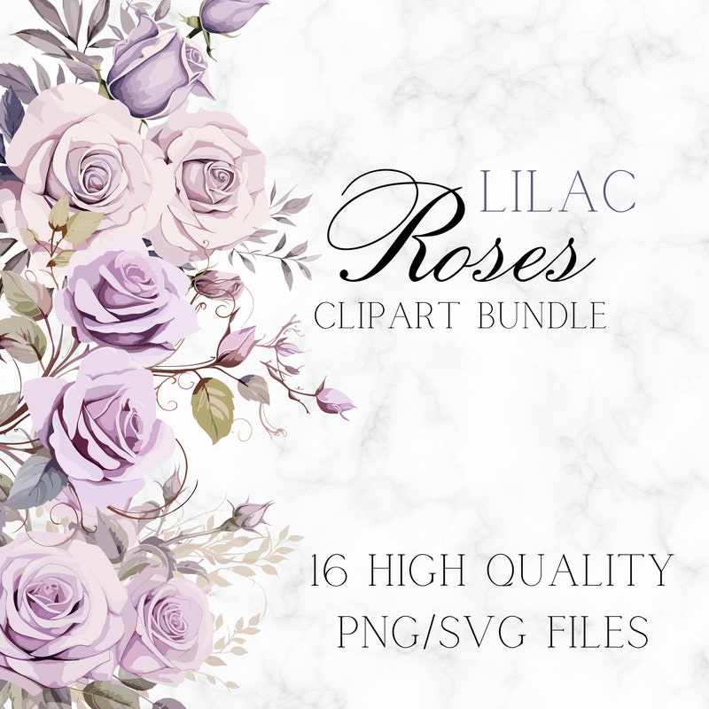 Lilac Rose - Etsy