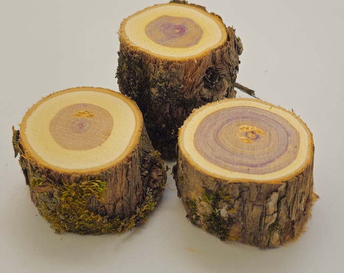 Fairy Garden Miniature Logs for Diorama Rustic Wedding Decor for Lodge ...