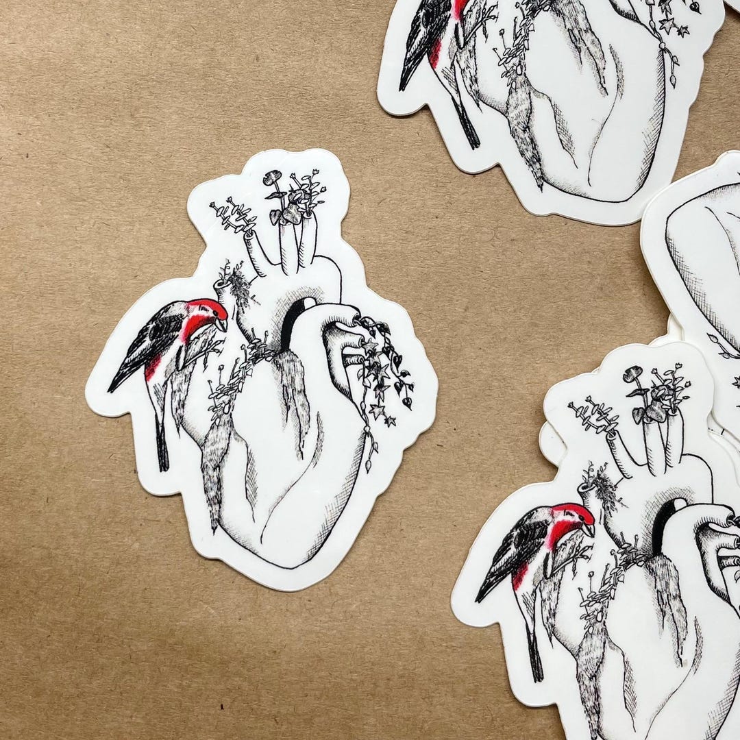 Anatomical Heart Sticker for Cardiology Nurse Laptop Decal Anatomy ...