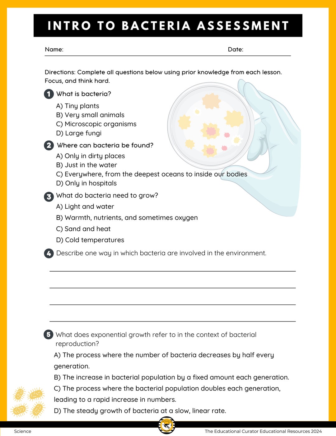 Intro to Bacteria Assessment - Etsy