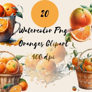 Watercolor Oranges, Clipart, Digital Png, Clipart Bundle, 400 Dpi ...