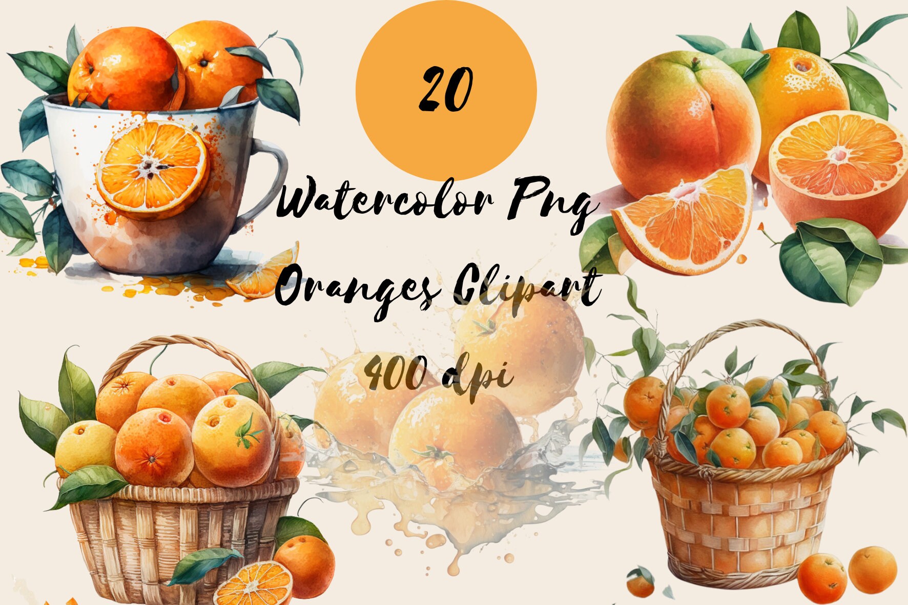 Watercolor Oranges, Clipart, Digital Png, Clipart Bundle, 400 Dpi ...