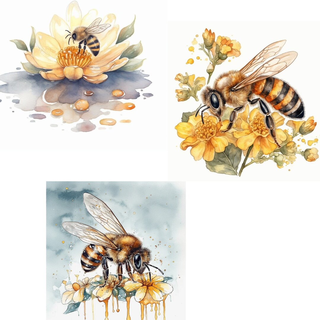 Watercolor Honey Bee Clipart, Bees and Flowers , Bee PNG, Commercial ...