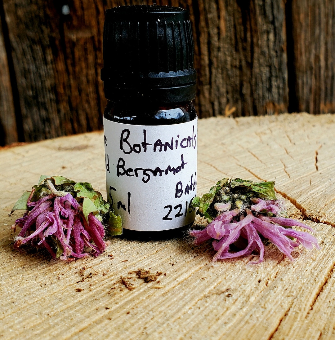 Wild Bergamot (monarda Fistulosa) Essential Oil, Sustainably Wild ...