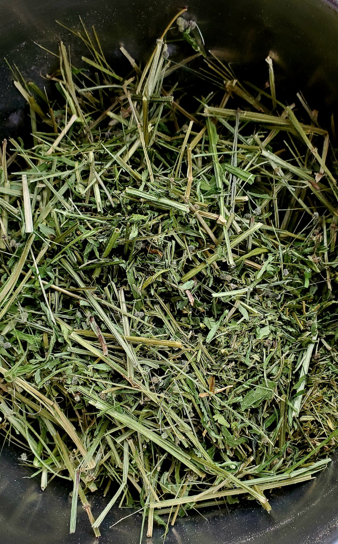 Cleavers galium Aparine, Dried 14g, Sustainably Wild-harvested - Etsy