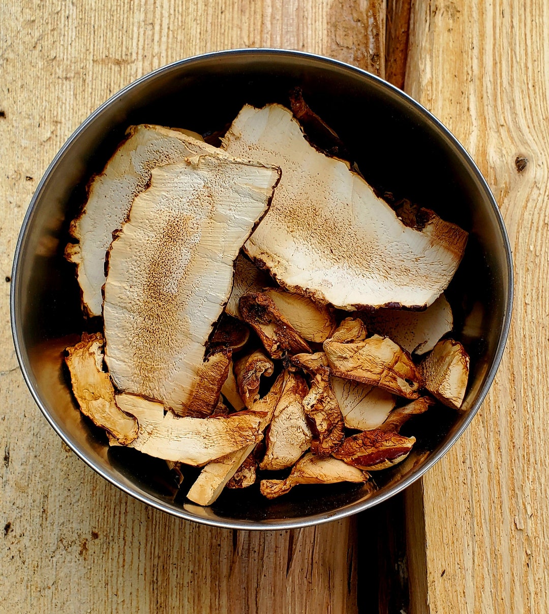 Hemlock Reishi (ganoderma Tsugae), Dried and Sliced, Ethically Wild ...