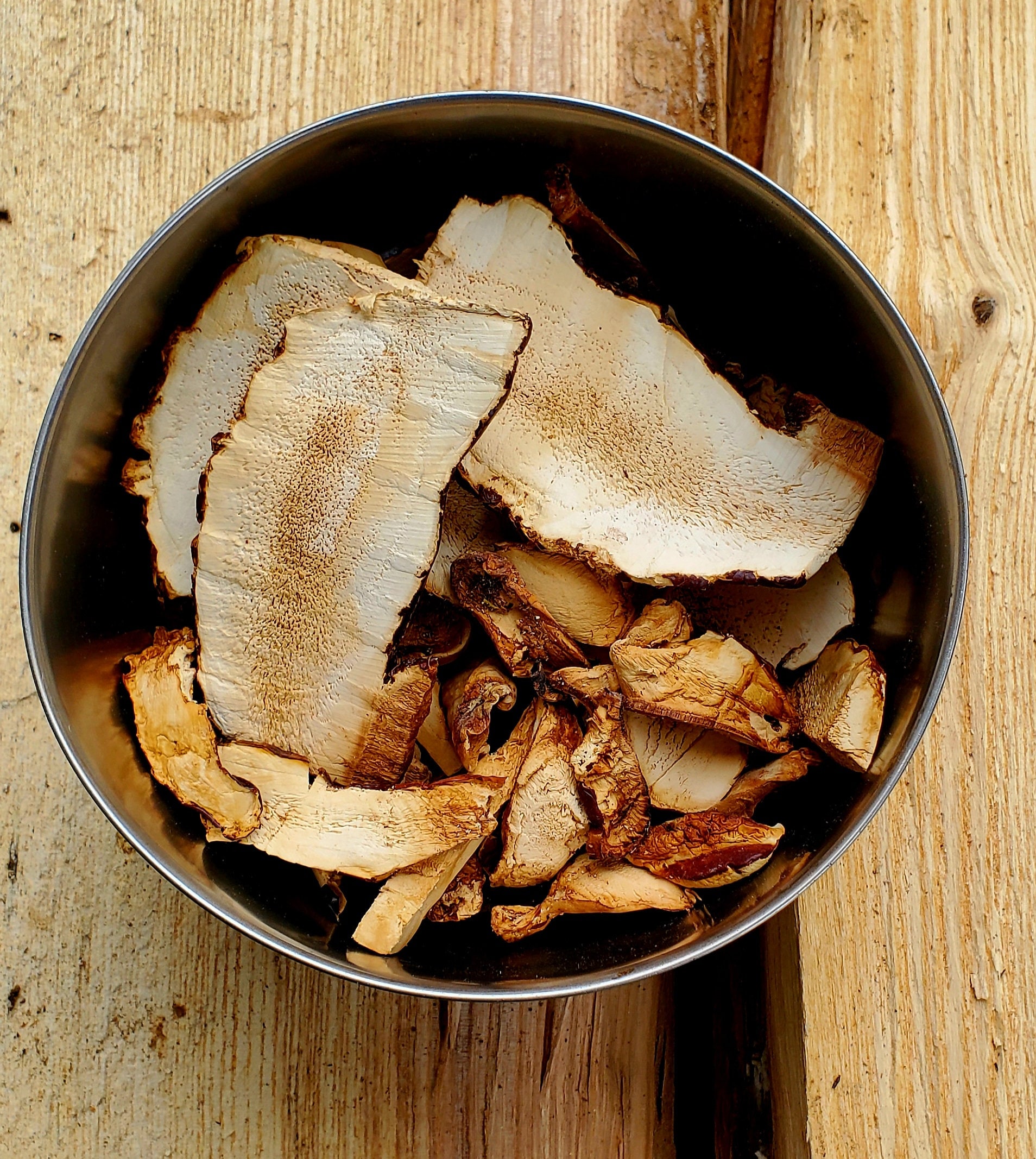 Hemlock Reishi ganoderma Tsugae, Dried and Sliced, Ethically Wild ...